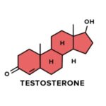 Hepius Pharmaceuticals Online Shop - Hepius Shop